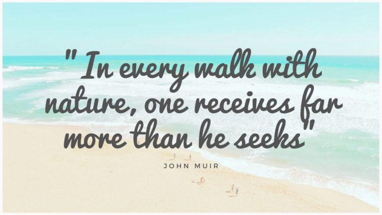 225 Eco Friendly QUOTES on Sustainability (Inspiring & Powerful)