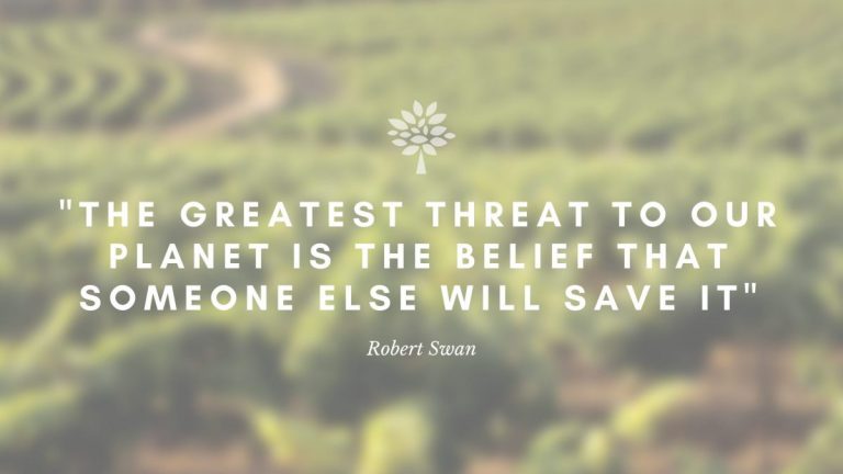 225 Eco Friendly QUOTES on Sustainability (Inspiring & Powerful)