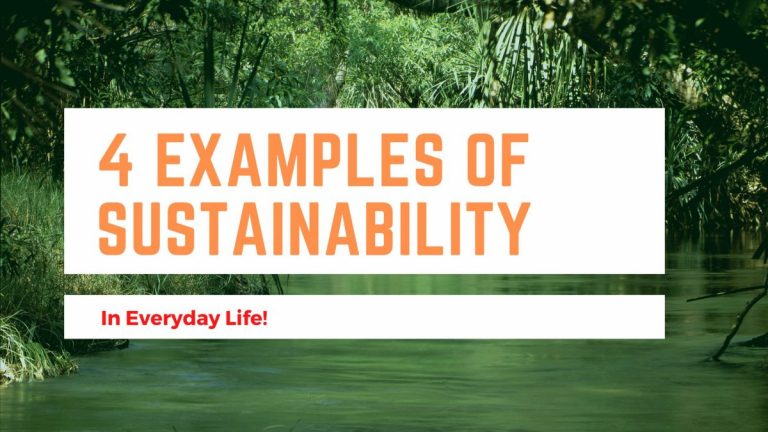 4 Sustainability EXAMPLES in Everyday Life