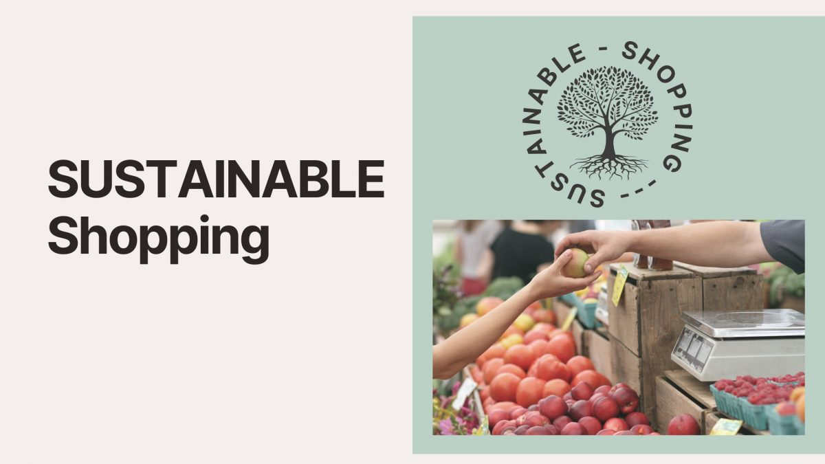 4 Sustainability EXAMPLES in Everyday Life