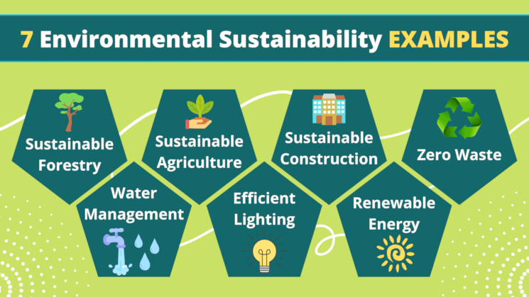7 Environmental Sustainability Examples 7 Environmental Sustainability Examples