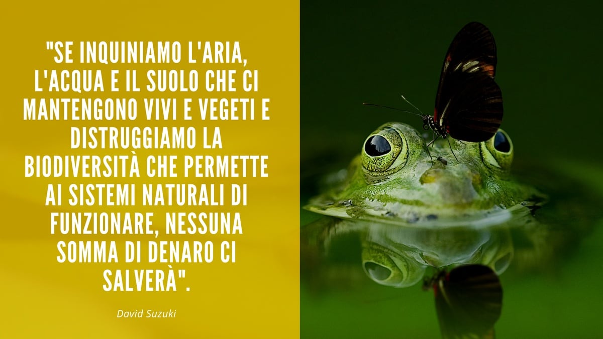 225 Citazioni Sulla Ecosostenibilità - Sustainability Success