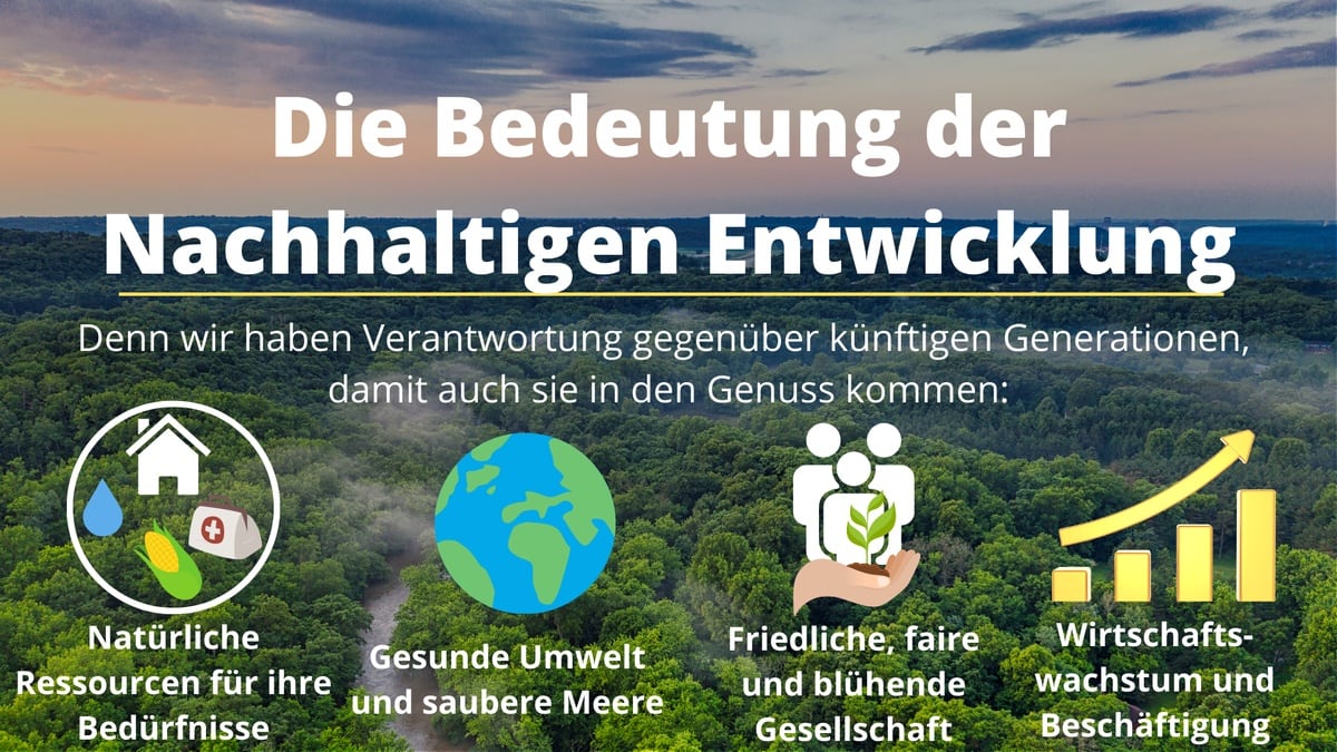 WICHTIGKEIT der nachhaltigen Entwicklung (und Ziele)