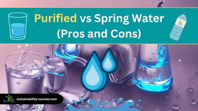 Purified vs Spring Water: Pros & Cons (and Better Choice)