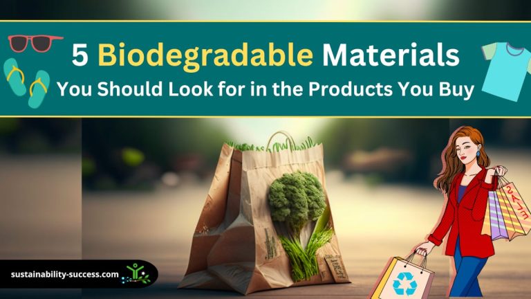 5 Biodegradable Materials You Should Look for in the Products You Buy