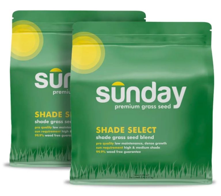 How Much Grass Seed Do I Need? (CALCULATOR & Guide) - Sustainability ...