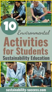 Top 10 Environmental Activities for Students [2024]