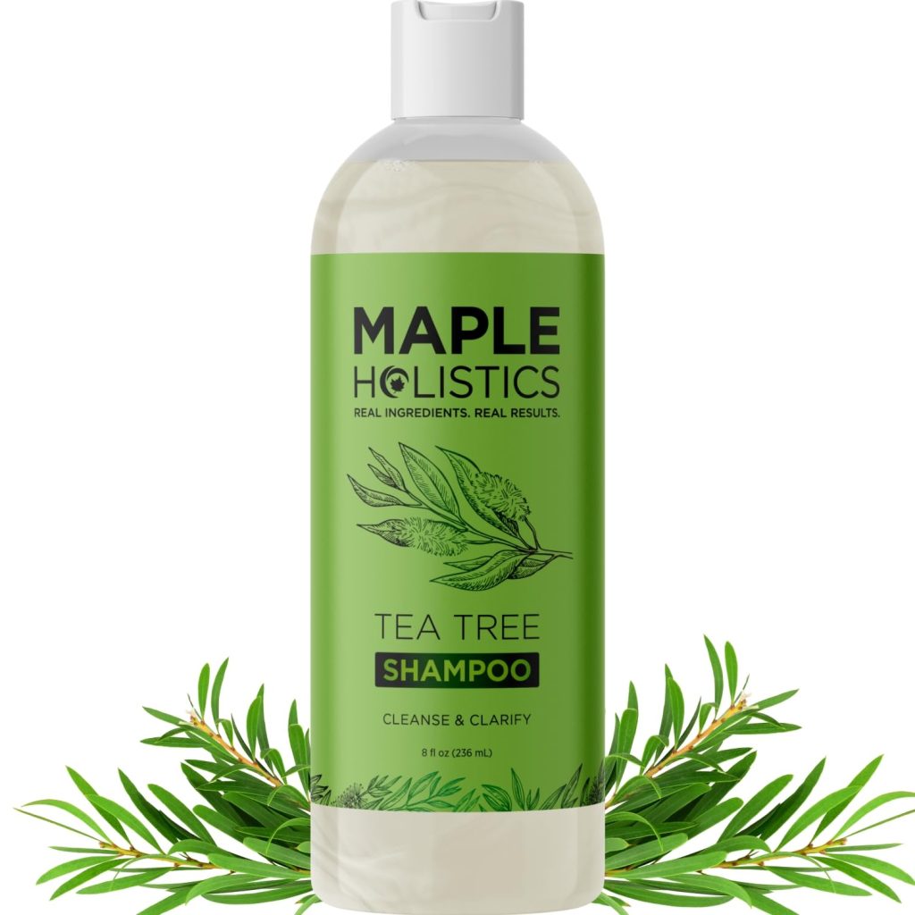 13 Best Shampoos Without DMDM Hydantoin for HEALTHY Hair!
