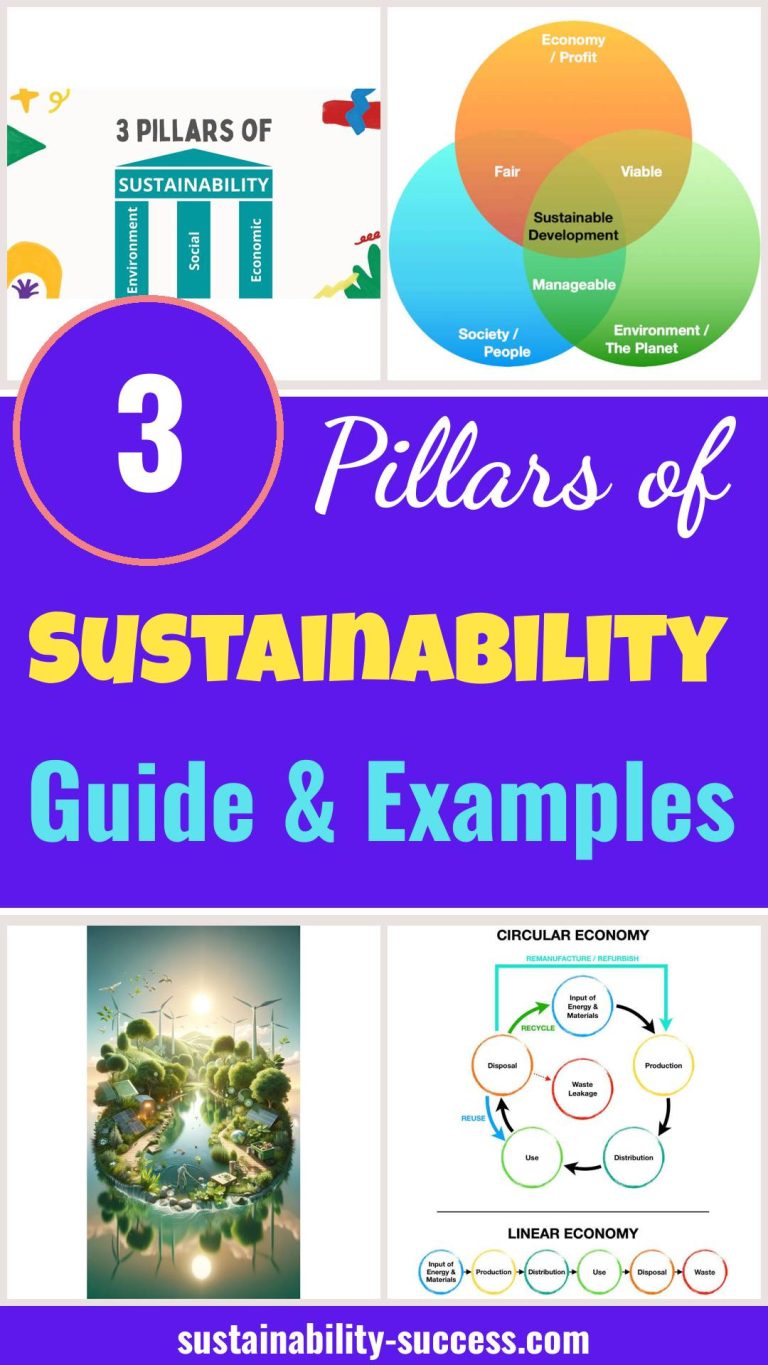 3 Pillars Of Sustainability Explained (Guide & Examples)