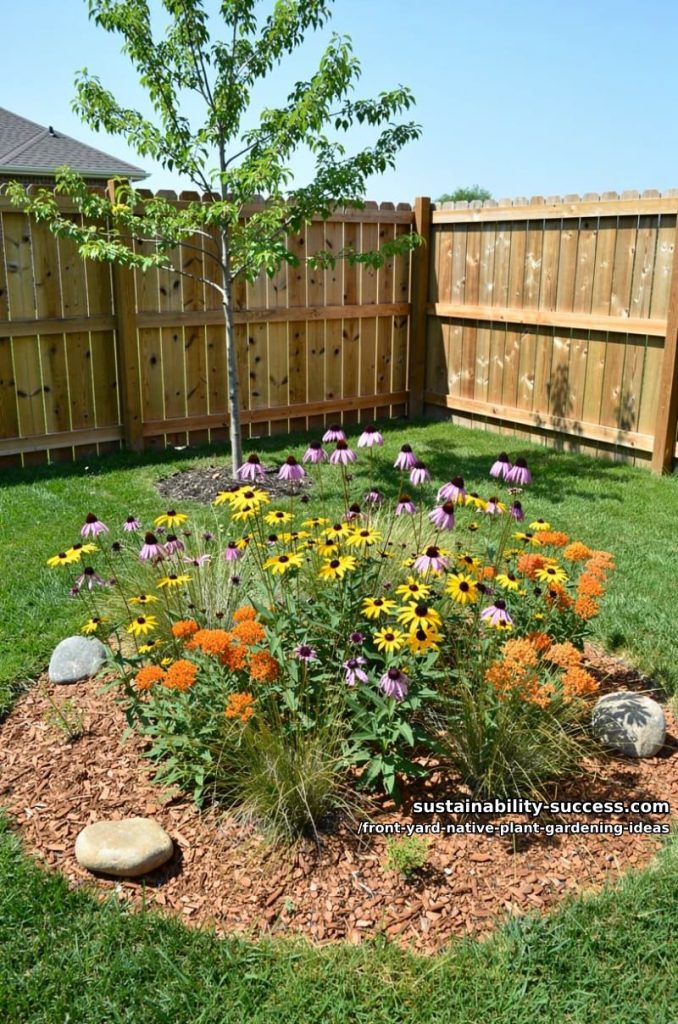 15 Native Plant Garden Designs for a Beautiful Front Yard